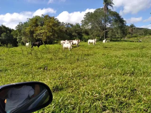 Fazenda para Venda em Diamantina/MG Centro 10 Quartos
