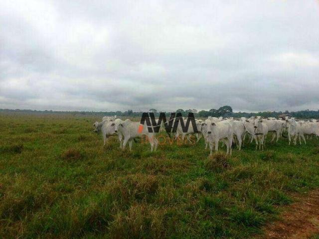 Fazenda para Venda em Diamantino/MT Novo Diamantino