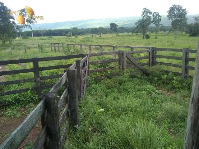 Fazenda para Venda em Diamantino/MT Zona Rural