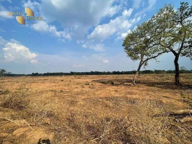 Fazenda para Venda em Diamantino/MT Zona Rural