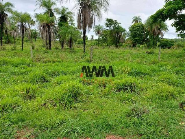 Fazenda para Venda em Duerê/TO Zona Rural