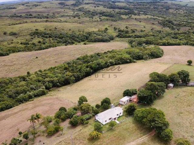 Fazenda para venda em Encruzilhada do Sul