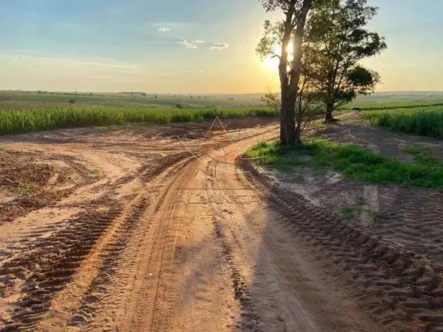 Fazenda para Venda em Echaporã/SP Zona Rural 5 Quartos