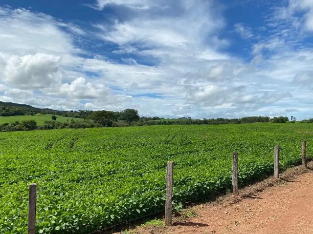 Fazenda para Venda em Edealina/GO Zona Rural