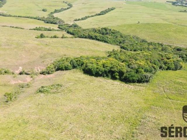 Fazenda para venda em Eldorado do Sul