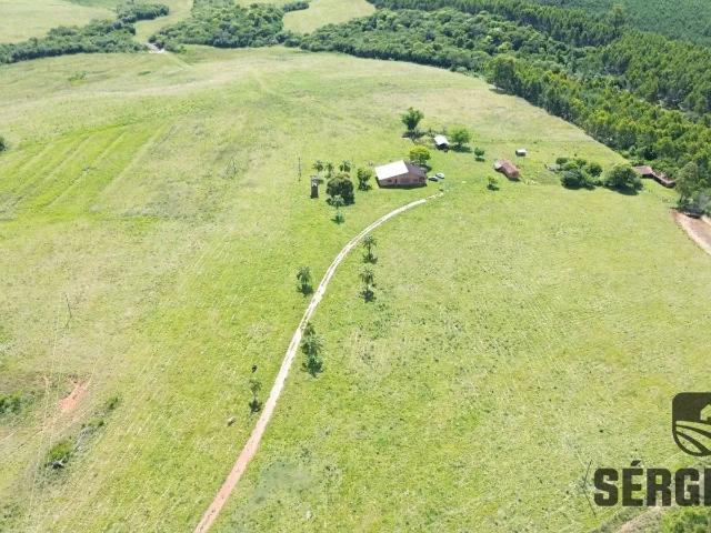 Fazenda para Venda em Eldorado do Sul/RS Zona Rural