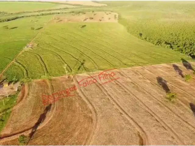 Fazenda para Venda em Eldorado/MS Zona Rural