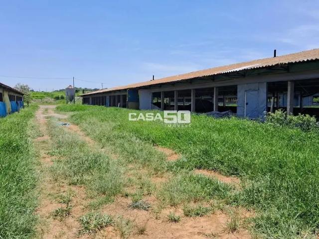 Fazenda para Venda em Elias Fausto/SP Centro 1 Quartos
