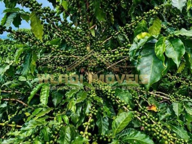Fazenda para Venda em Elói Mendes