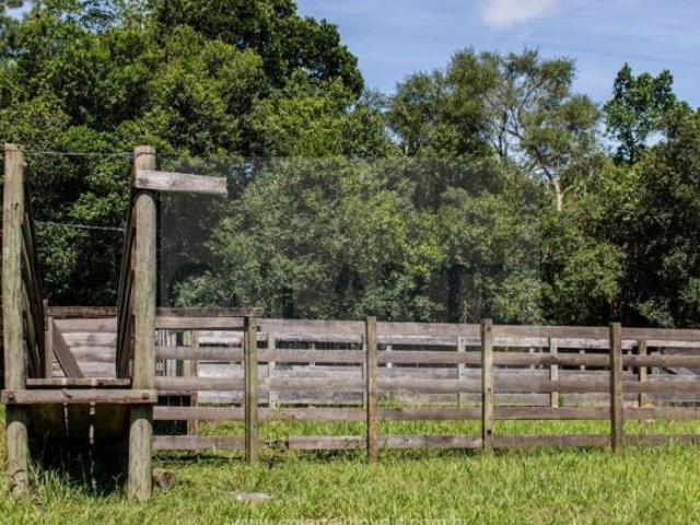 Fazenda para venda em Estância Grande, Viamão