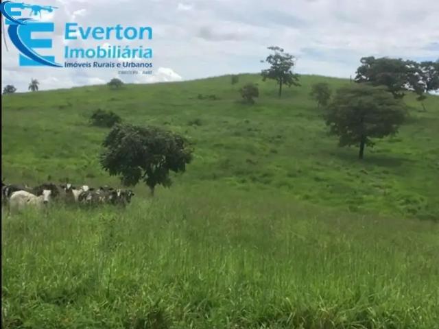Fazenda para Venda em Estrela do Sul/MG Zona Rural
