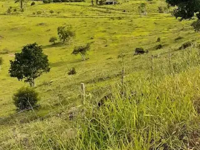 Fazenda para Venda em Eunápolis/BA Centro