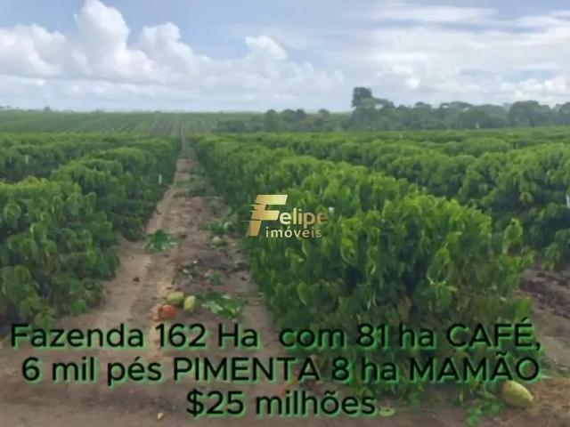 Fazenda para Venda em Eunápolis/BA Área Rural de Eunápolis 1 Quartos