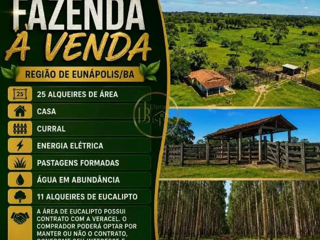 Fazenda para Venda em Eunápolis/BA Área Rural de Eunápolis