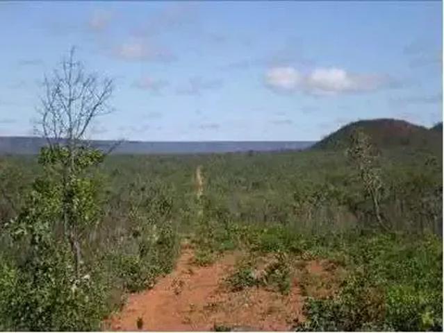 Fazenda para Venda em Formosa do Rio Preto/BA Zona Rural