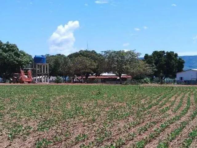 Fazenda para Venda em Formosa/GO Área Rural de Formosa
