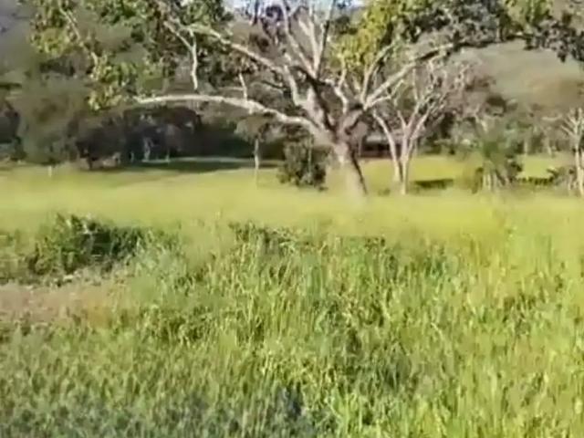 Fazenda para Venda em Formosa/GO Bezerra