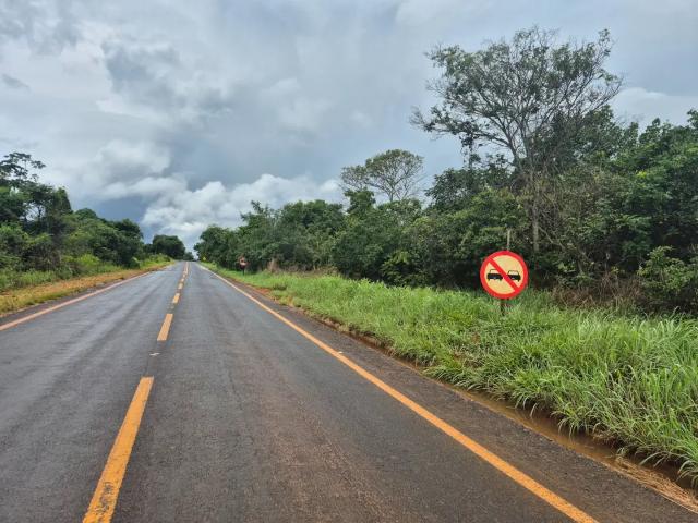 Fazenda para Venda em Formosa/GO Bezerra