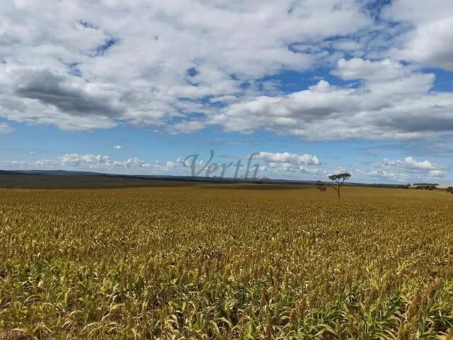 Fazenda para Venda em Formosa/GO Parque Lago 10 Quartos