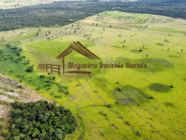 Fazenda para Venda em Formoso do Araguaia/TO Zona Rural