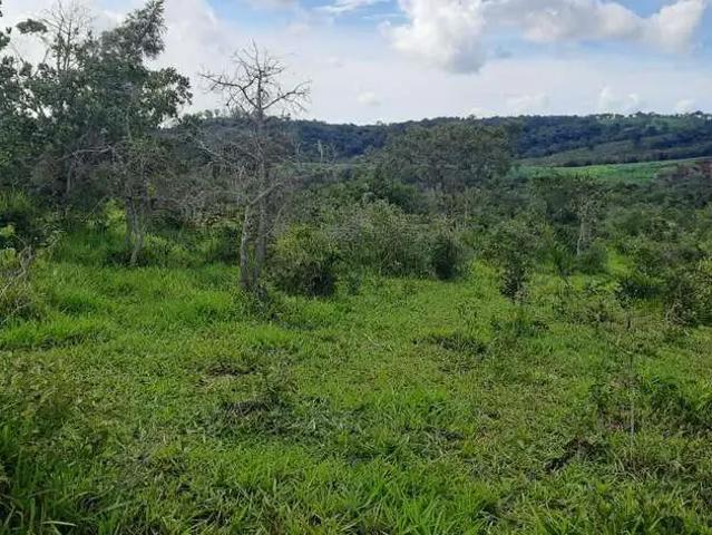 Fazenda para Venda em Formiga/MG Centro