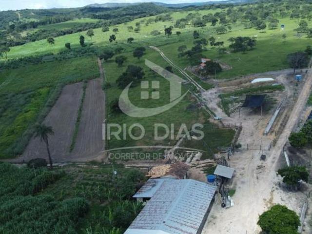 Fazenda para Venda em Fortuna de Minas, 3 dormitórios, 2 banheiros, 2 vagas