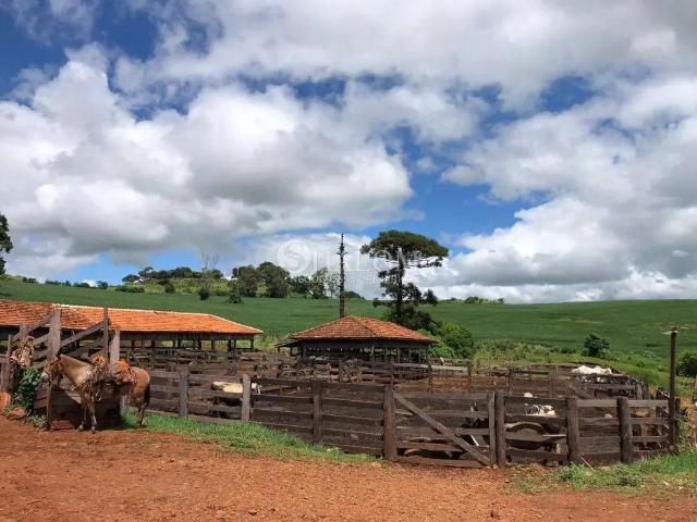 Fazenda para Venda em Faxinal/PR Zona Rural 1 Quartos