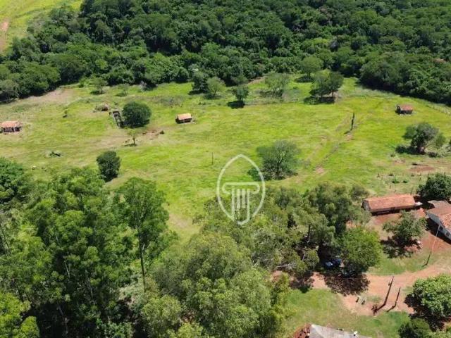 Fazenda para Venda em Faxinal/PR Zona Rural