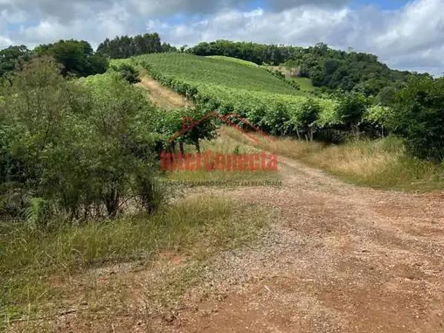 Fazenda para Venda em Fagundes Varela/RS Centro 3 Quartos