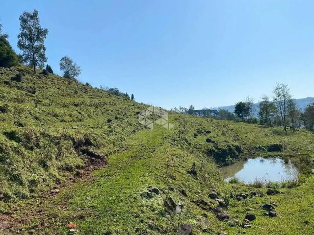 Fazenda para Venda em Farroupilha/RS Jansen