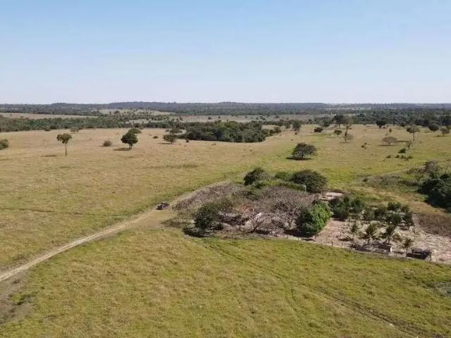 Fazenda para Venda em Feijó/AC Centro