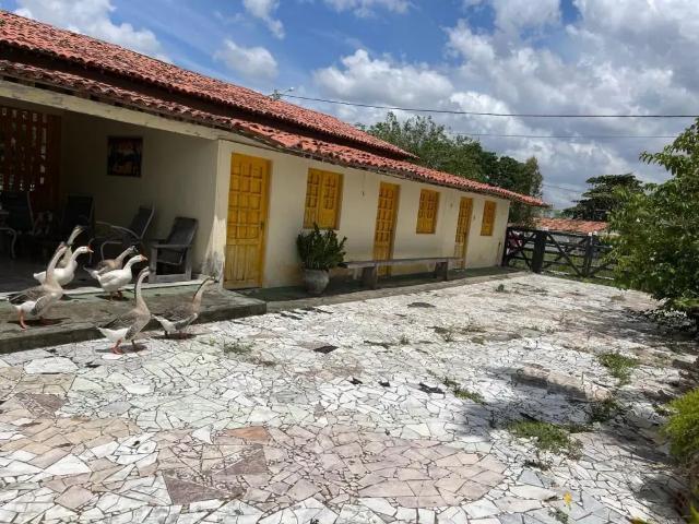 Fazenda para Venda em Feira Nova/PE Zona Rural