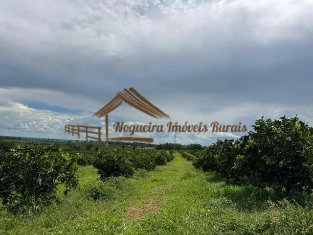 Fazenda para Venda em Fernandópolis/SP Zona Rural