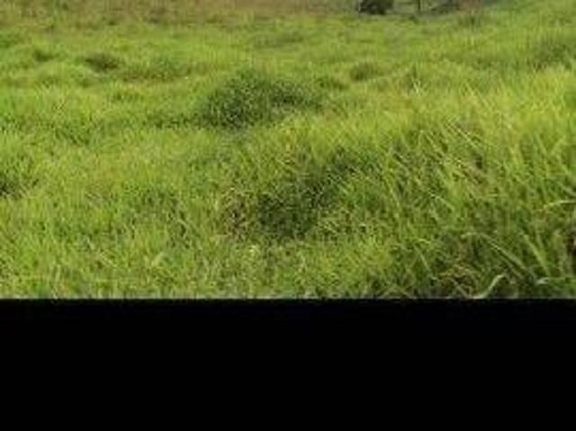 Fazenda para venda em Ferros
