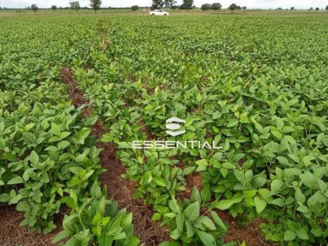 Fazenda para venda em Figueirão