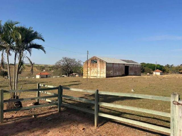 Fazenda para Venda em Flórida Paulista/SP Zona Rural 3 Quartos
