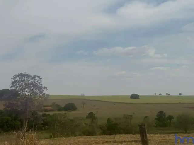 Fazenda para Venda em Frutal/MG Zona Rural