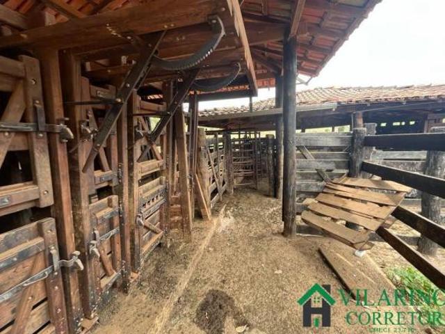 Fazenda para venda em Frei Inocêncio