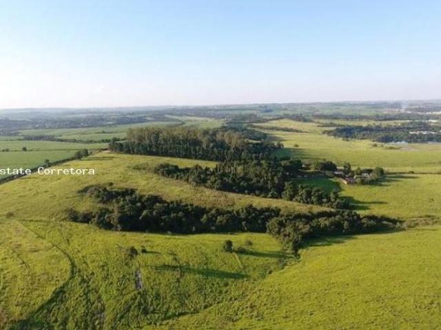 Fazenda para venda em Haras Paineiras, Salto