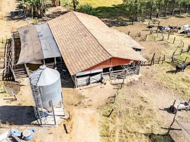 Fazenda para Venda em Heitoraí/GO Zona Rural 7 Quartos