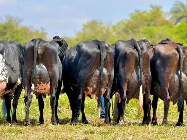 Fazenda para Venda em Inhaúma/MG Zona Rural