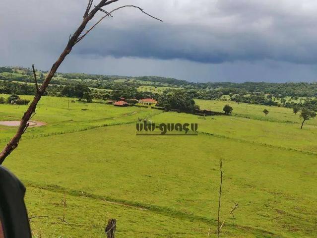 Fazenda para Venda em Inocência/MS Zona Rural
