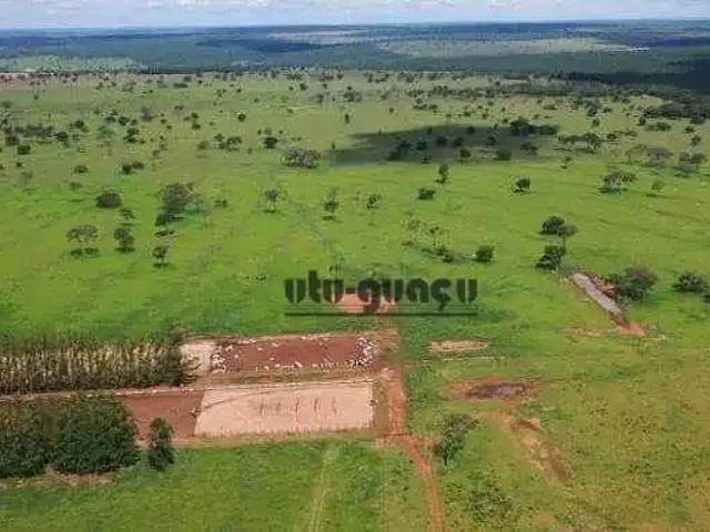 Fazenda para Venda em Inocência/MS Zona Rural