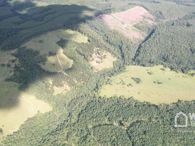 Fazenda para venda em Ibaiti