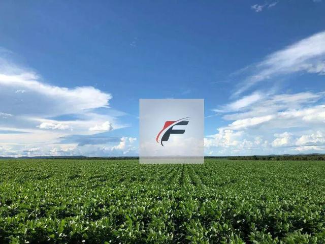 Fazenda para Venda em Ibaiti/PR Centro