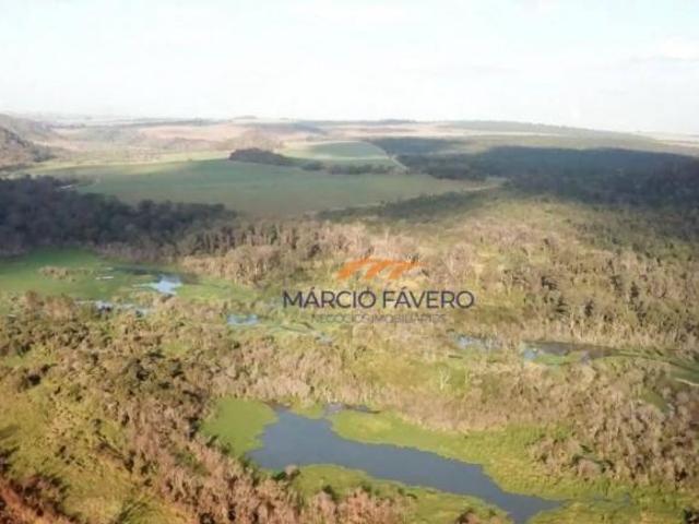 Fazenda para venda em Ibaté