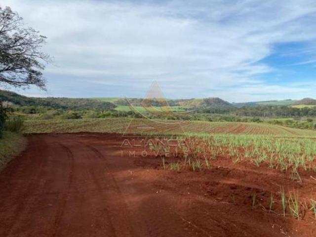 Fazenda para venda em Ibaté