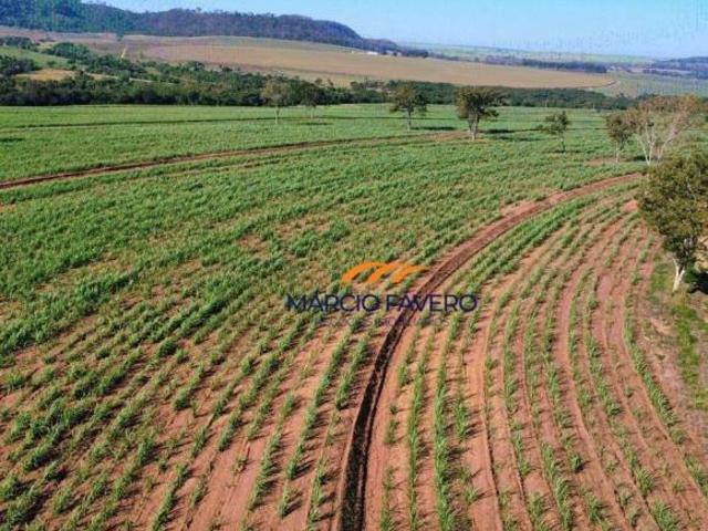Fazenda para venda em Ibaté