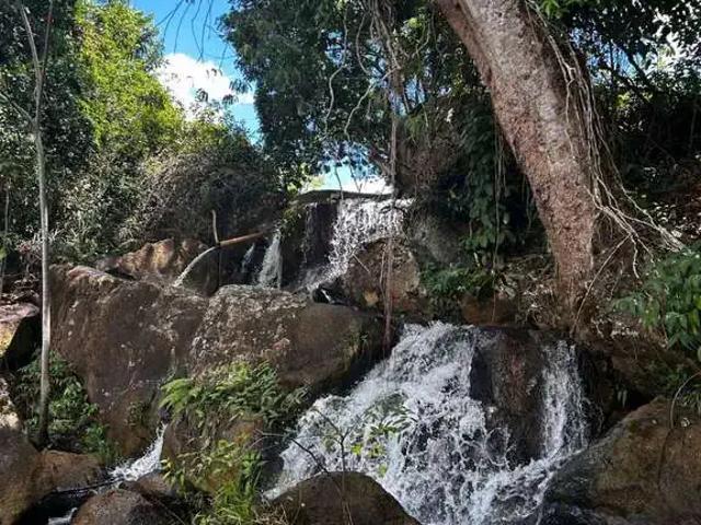 Fazenda para Venda em Ibicuí/BA Zona Rural 6 Quartos