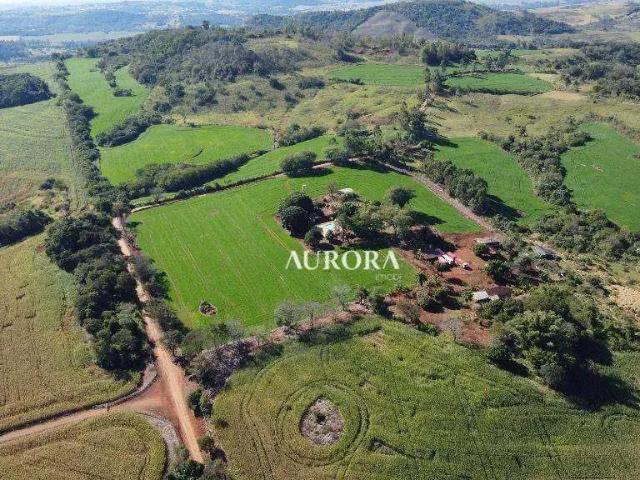 Fazenda para Venda em Ibiporã/PR Jardim Pinheiro